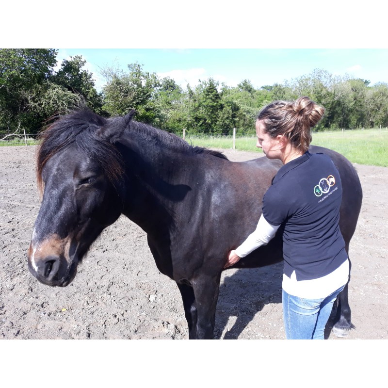 Natural Animal Solutions | Health check horse - Natural Animal Solutions